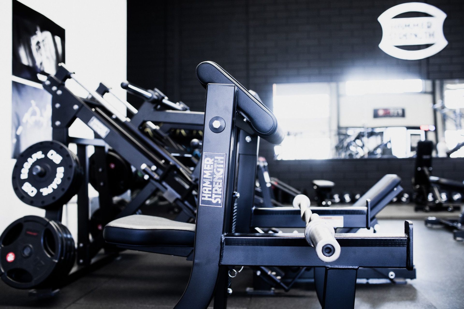 Official Hammer Strength Training Center | Fitness Brands