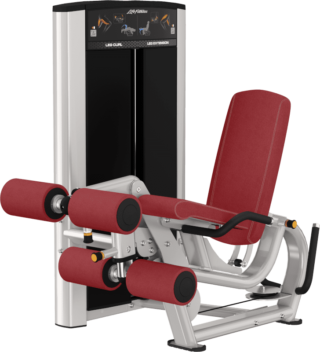 Axiom Leg Extension/Curl | Fitness Brands
